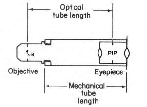 Understanding the microscope. 7. Objectives II. By Jeremy Sanderson