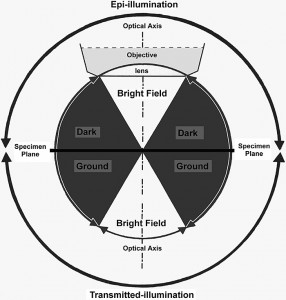 Theory of contrast control in the microscope, by Jeremy Sanderson