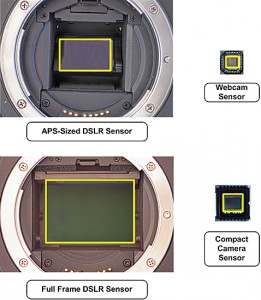 Advanced digital photomicrography – using a camera on a microscope ...