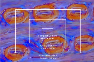 Advanced digital photomicrography – using a camera on a microscope ...