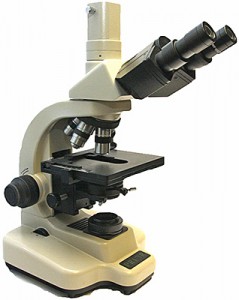 Introduction to compound (high-power) microscopes – Quekett ...