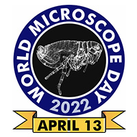2022 World Microscope Day report – Quekett Microscopical Club