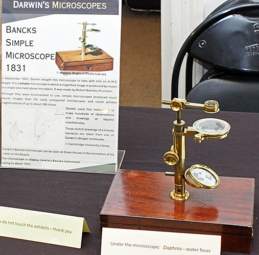 2025 Down House Microscopy Weekend report – Quekett Microscopical Club ...