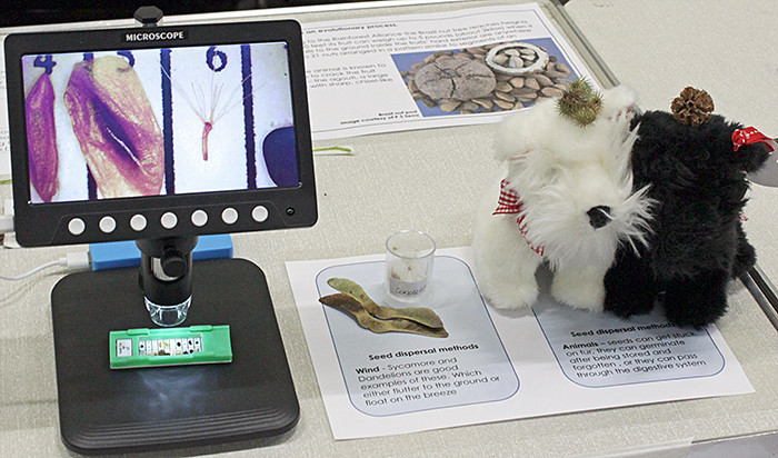 2025 Annual Exhibition of Microscopy report – Quekett Microscopical Club