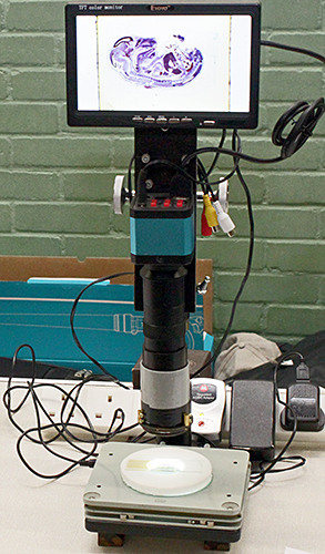 2025 Annual Exhibition of Microscopy report – Quekett Microscopical Club